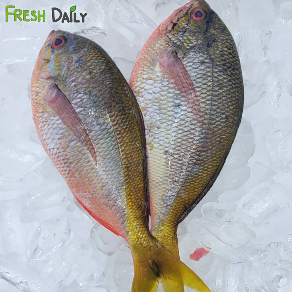 Dalagang Bukid Lapad